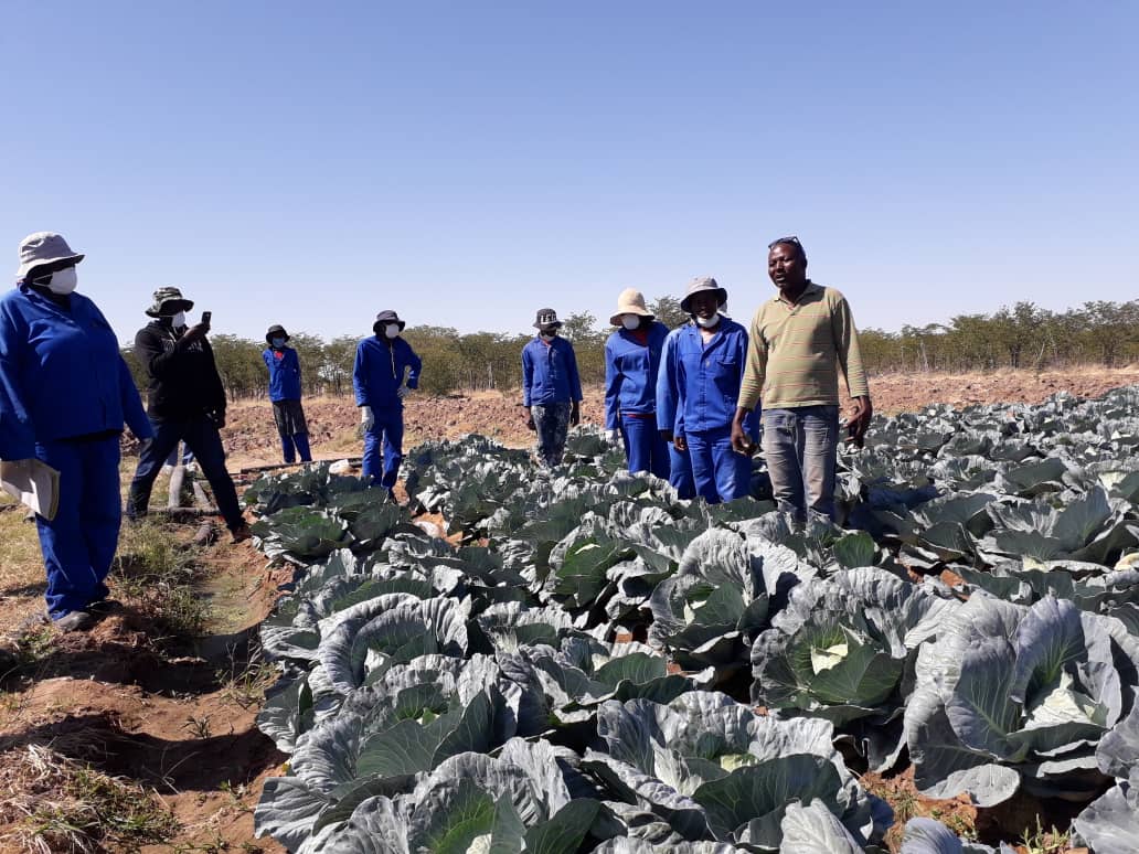 Rössing Foundation delivers on its mandate amid COVID-19 – Chamberofmines
